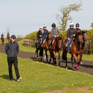 Trainer - Archie Watson Racing