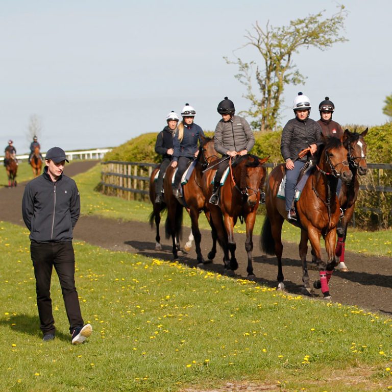 Trainer - Archie Watson Racing