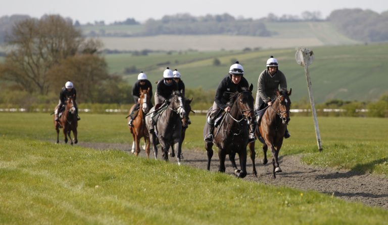 Gallery - Archie Watson Racing
