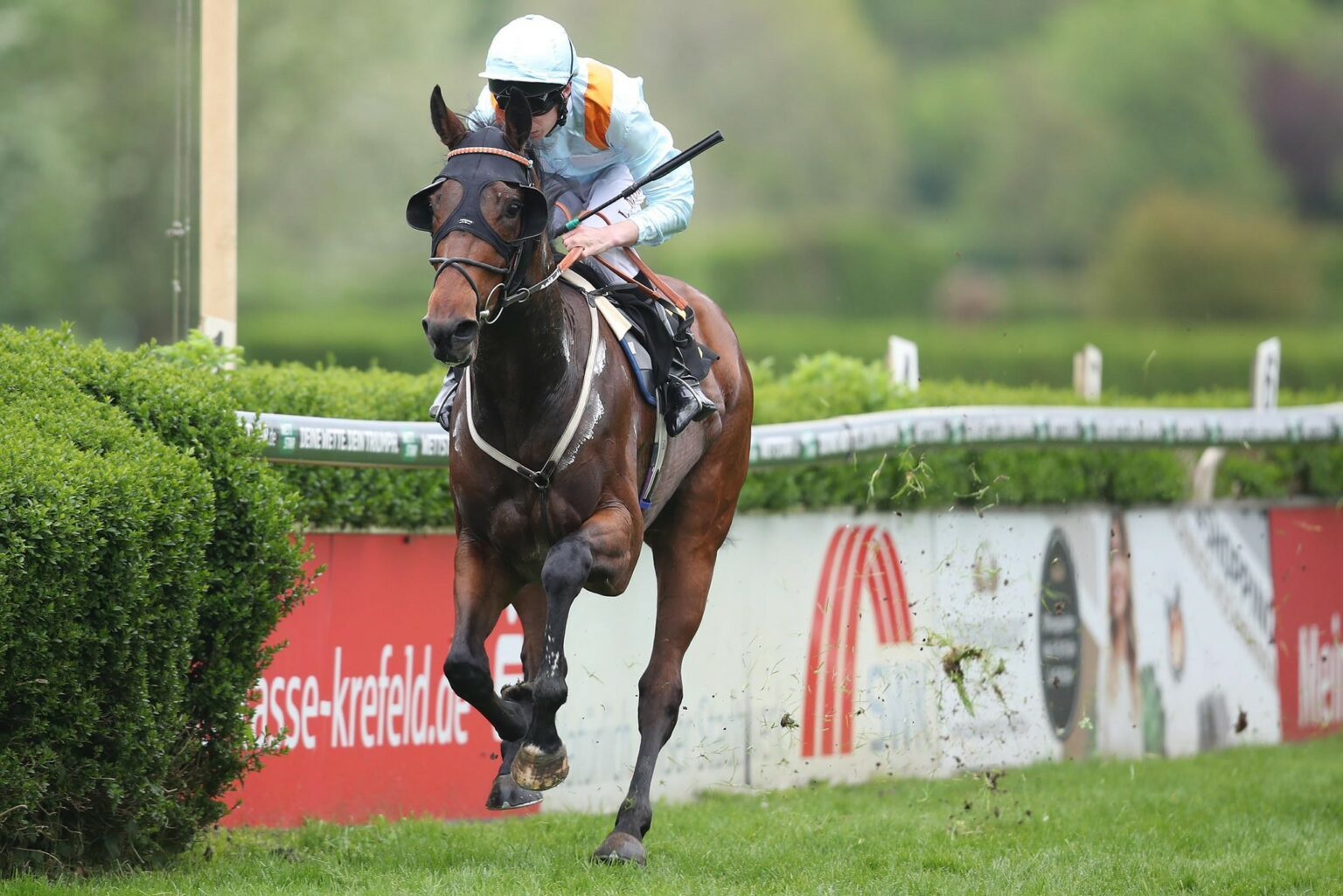 Latest News - Archie Watson Racing