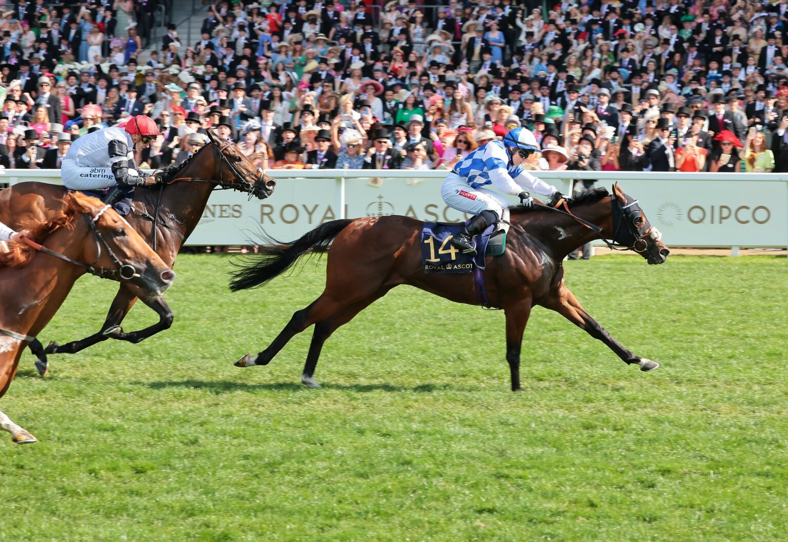 Latest News - Archie Watson Racing