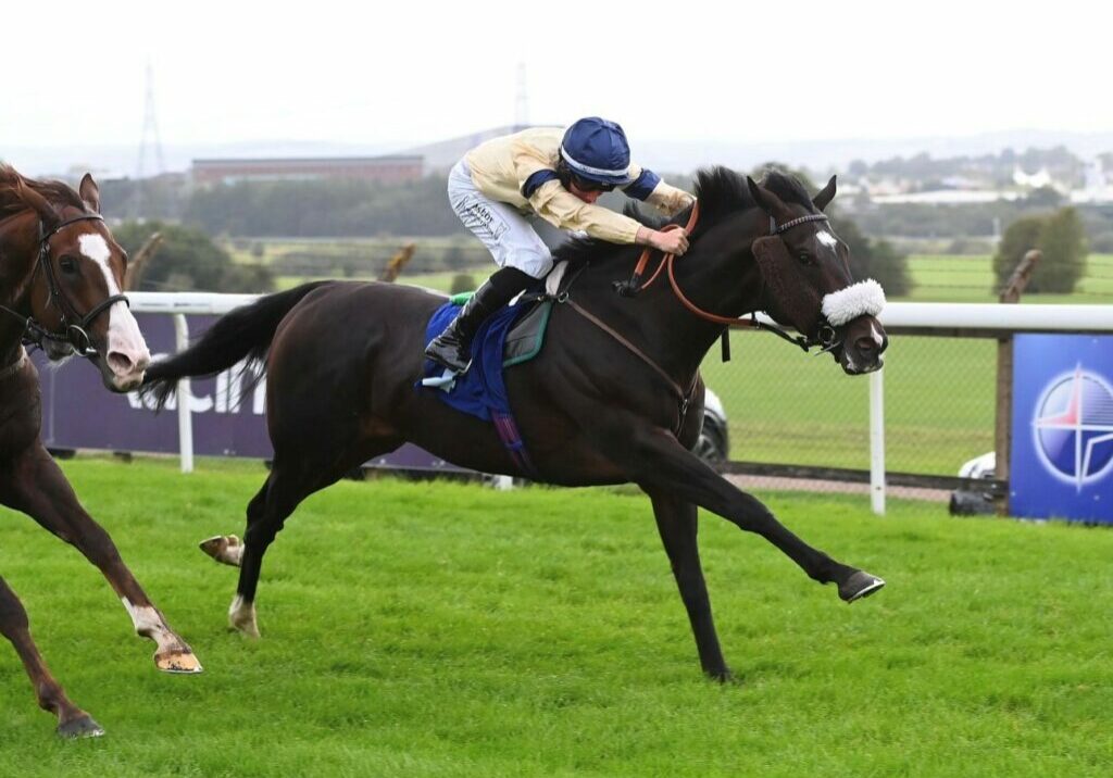 Home - Archie Watson Racing