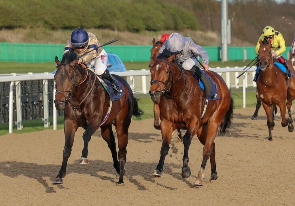 Home - Archie Watson Racing