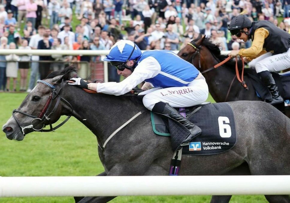 Home - Archie Watson Racing