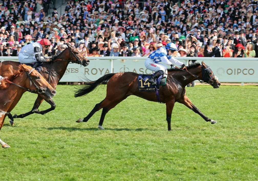 Home - Archie Watson Racing